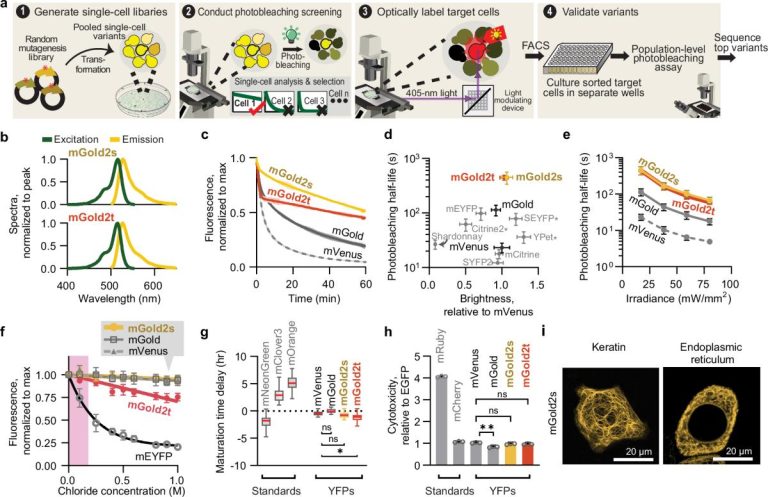 How Benchtop Fluorometer Cuts Long Analysis Time