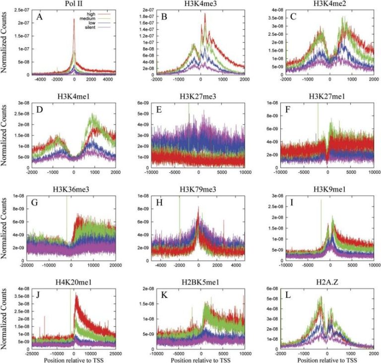 Bioinformatics No Longer "Black Box": Chip Sequencing Services ...