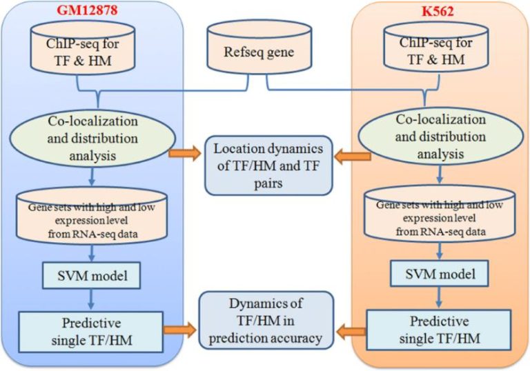 Bioinformatics No Longer "Black Box": Chip Sequencing Services ...