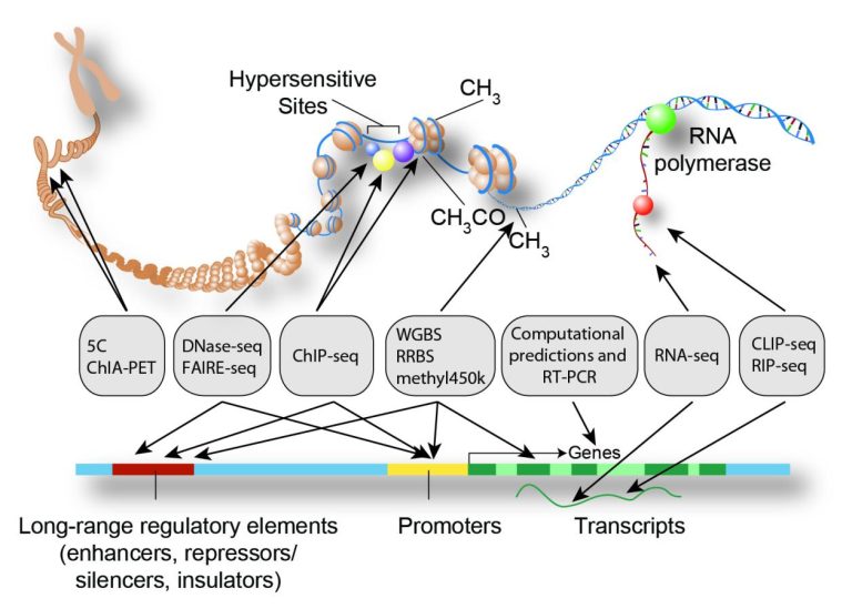 Cross-Contam? One-Stop Ultrasonicator for DNA Extraction