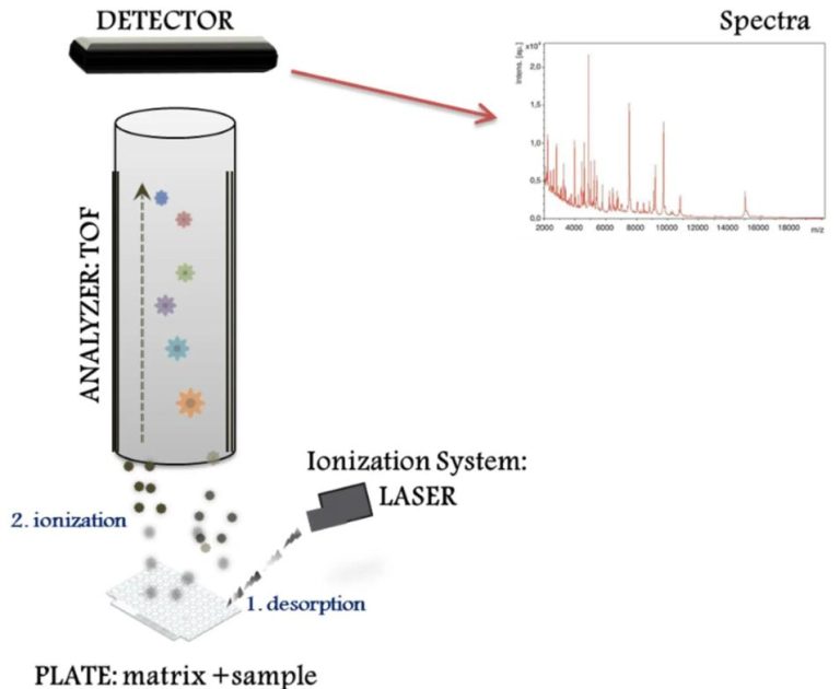 Cross-Contam? One-Stop Ultrasonicator for DNA Extraction